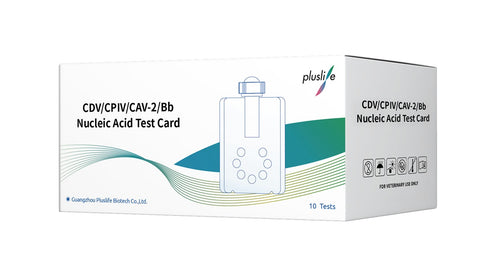 Prueba Molecular Rápida para CDV/CPIV/CAV-2/Bb en Caninos – Pluslife Mexico