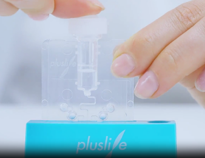 Prueba Molecular para Leucemia Viral Felina (FeLV/FIV) – Pluslife Mexico